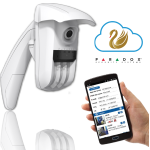 Paradox Video Integration